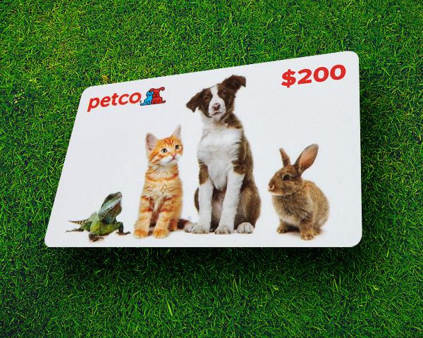 $200 Petco Gift Card Giveaway! Sweepstakes